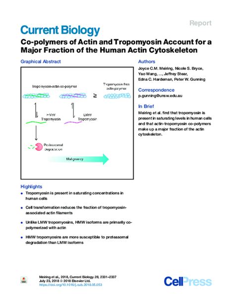 Pdf Co Polymers Of Actin And Tropomyosin Account For A Major Fraction Of The Human Actin