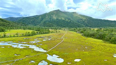 にっぽん百名山 尾瀬をめぐる山旅水の楽園を撮る 動画配信