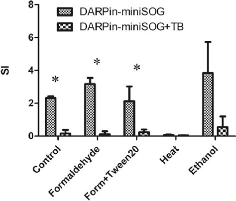 Staining Indexes For Sk Br 3 Cells With Or Without Treatment With Tb