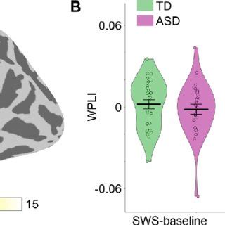 Seed Based Functional Connectivity A Cluster Of Significant
