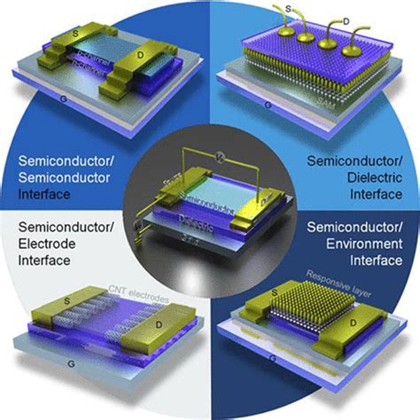 Interface Engineering In Organic Field Effect Transistors Principles