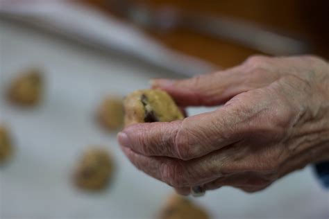 무료 이미지 손 요리 식사 식품 생기게 하다 빵 굽기 디저트 닫다 단맛 매크로 사진 꽃 피는 식물 감각 인간 행동 4752x3168