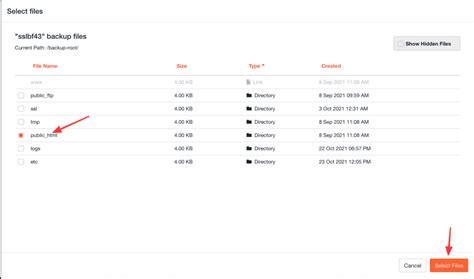 How To Use Jetbackup 5 On Cpanel
