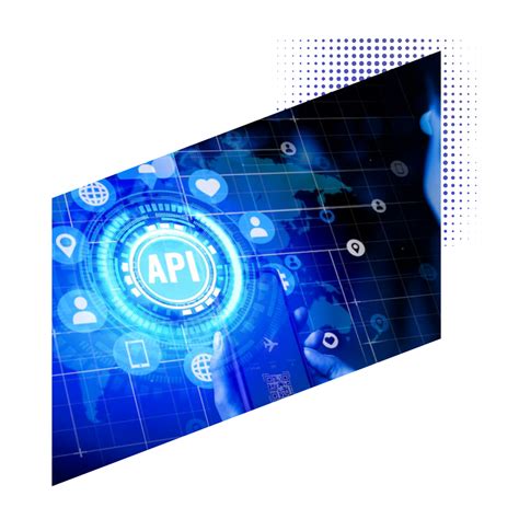 Api Security Audit