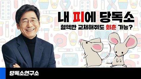 젊은 쥐와 늙은 쥐 서로 혈액을 바꿨더니 일어난 일 Youtube