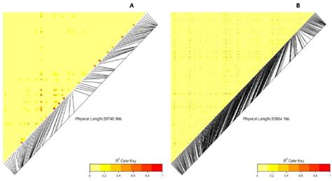 Pairwise Ld In R 2 For A Chromosome 1 And B Chromosome 8 Download