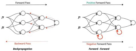 The Forward Forward Algorithm A New Learning Procedure For Neural By Cagla Aksoy