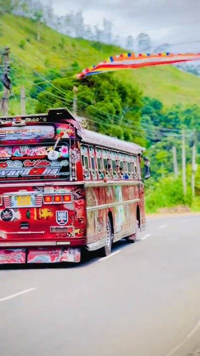 රතු බලකායේ සැප එක නිල පබළු ️ Subscribe කරන් යමු ️ Highlights Trendingshorts Travel ️ ️ ️