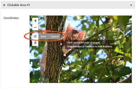 You Need To Define Some Clickable Areas Error Wp Draw Attention