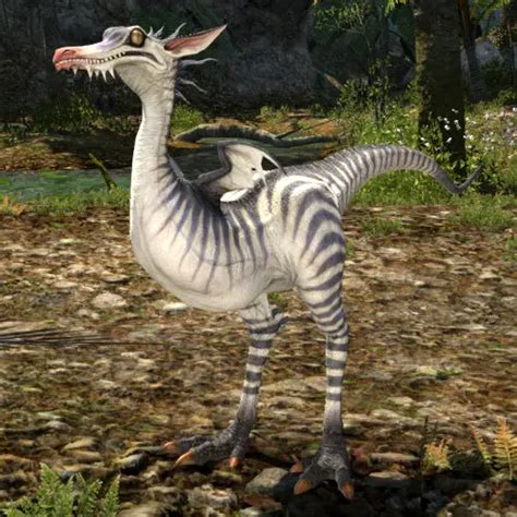 Ffxiv Jungle Coeurl Location Map Ff14 Hunting Log