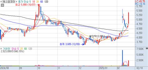 에스엠코어 주가 전망 핵심분석 결과 파악하기 250218