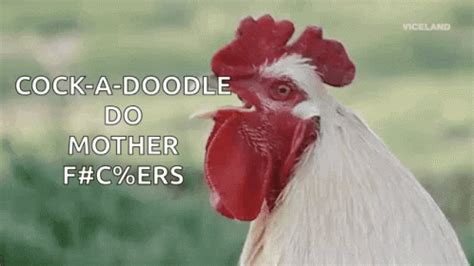Rooster S