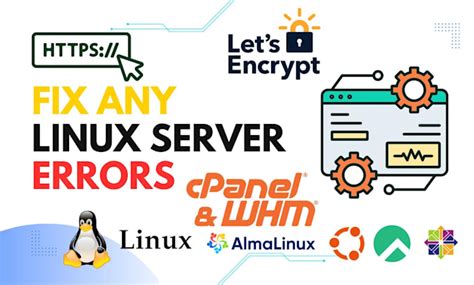 Fix Cpanel Plesk Whmcs Dns And Mail Related Issues By Sysops24 Fiverr