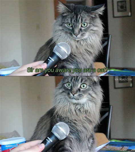 Gets Me Every Time 9gag