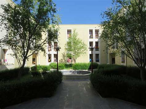 دانشگاه دامغان دانشگاه دامغان