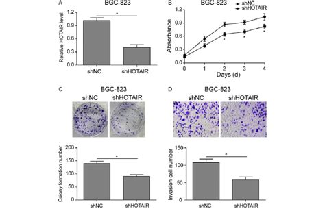 Down Regulated Hotair Inhibited Proliferation And Metastasis In Bgc 823