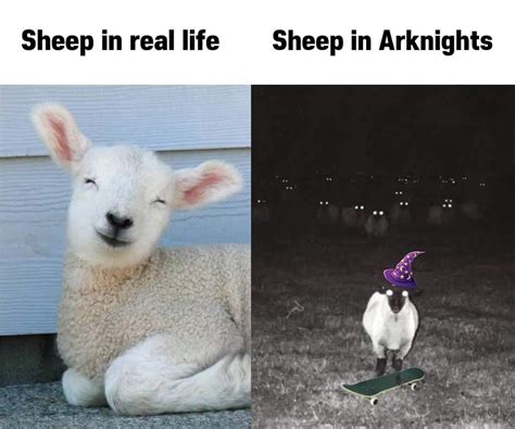 So Long Adele So Long Siesta And Yes I Had Fun Rarknights