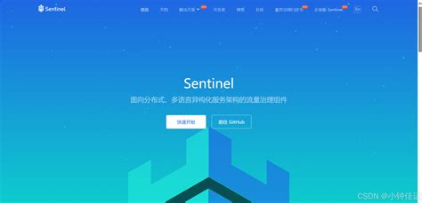 Docker部署sentinel Docker Sentinel Csdn博客