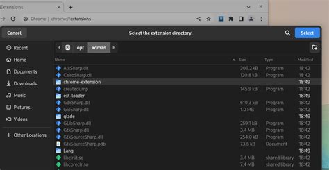 How To Install Browser Extension For Google Chrome MS Edge Brave Vivaldi In XDM Subhra Xdm