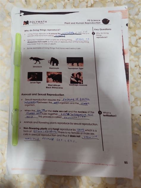 Polymaths Learning Centre Psle Science Revision Book Hobbies And Toys