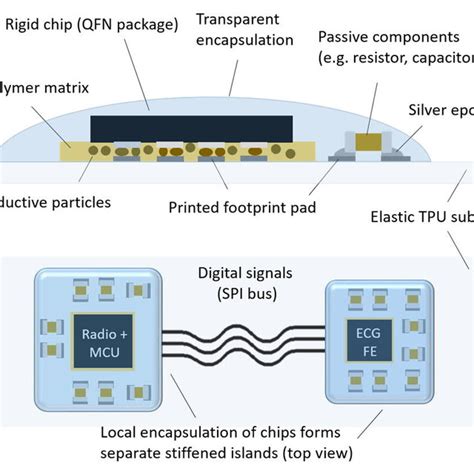 A Graphical Illustration Of Chip Bonding And Encapsulation Of The Download Scientific Diagram