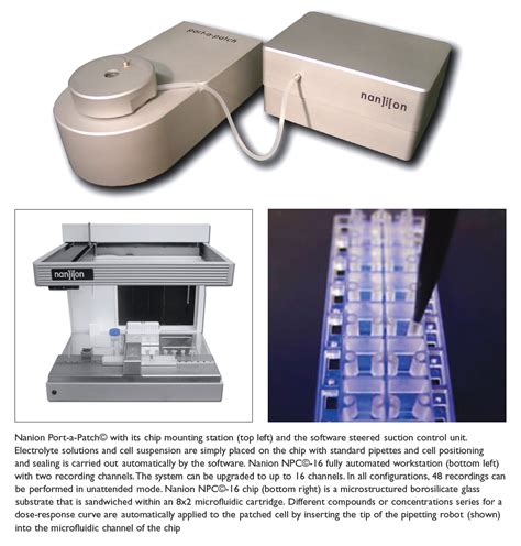 Automated Patch Clamping Setting A New Standard For Early Herg Drug Discovery World Ddw