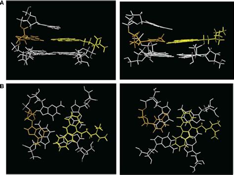 Structure Of C Myc G Quadruplex With Bound 13f Ligands Indoloquinoline Download Scientific