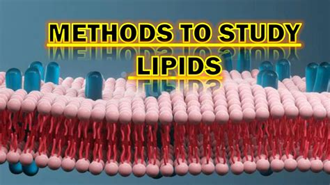 SOLUTION Method To Study Lipids Biological Importance Of Lipids Different Of Lipids And Some