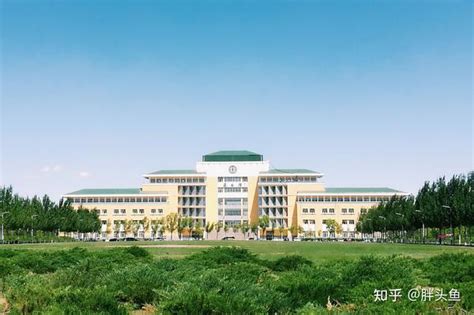 哈尔滨医科大学大庆校区 知乎