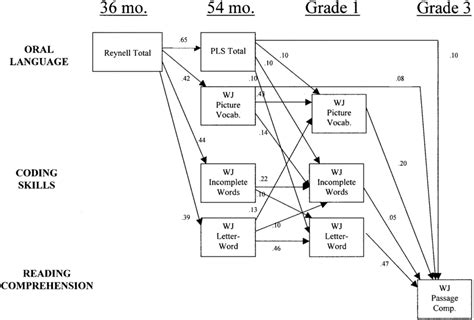 Path Analyses For The Comprehensive Model Nonsignificant Paths And