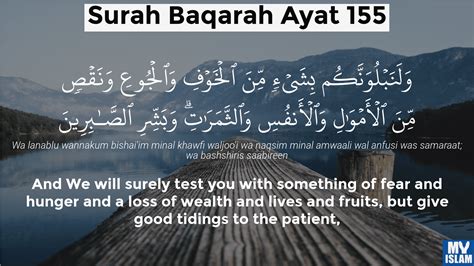 Surah Al Baqarah Ayat 154 2154 Quran With Tafsir My Islam
