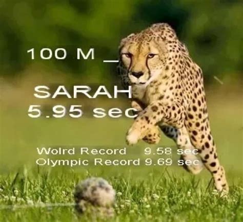 Probvision Unsupervised Object Detection And Instance Segmentation