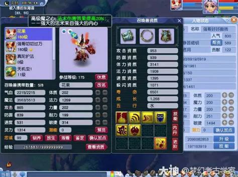 梦幻西游175级固伤阵容怎么配置 梦幻西游175级固伤阵容配置攻略 3DM网游