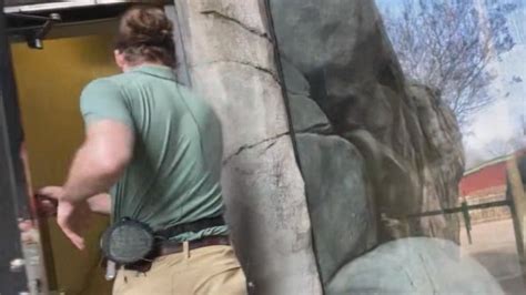 在美华人探望“丫丫”：饲养员“落荒而逃”不愿回答 凤凰网视频 凤凰网