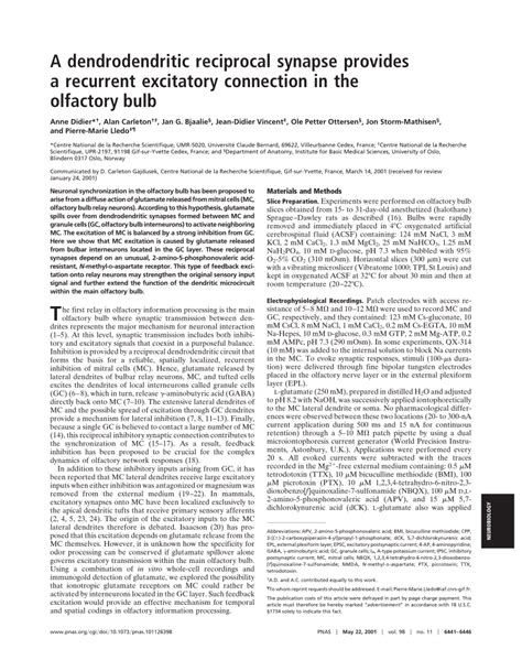 Pdf A Dendrodendritic Reciprocal Synapse Provides A Recurrent Excitatory Connection In The
