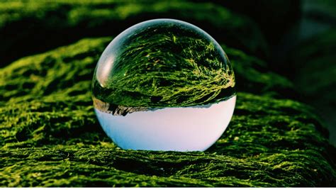 What Is Asset Lifecycle Management Ultimate Guide 2025