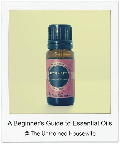 A Beginners Guide To Essential Oils