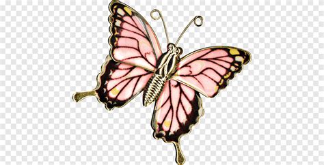 Borboleta Rosa E Preta Png Pngegg