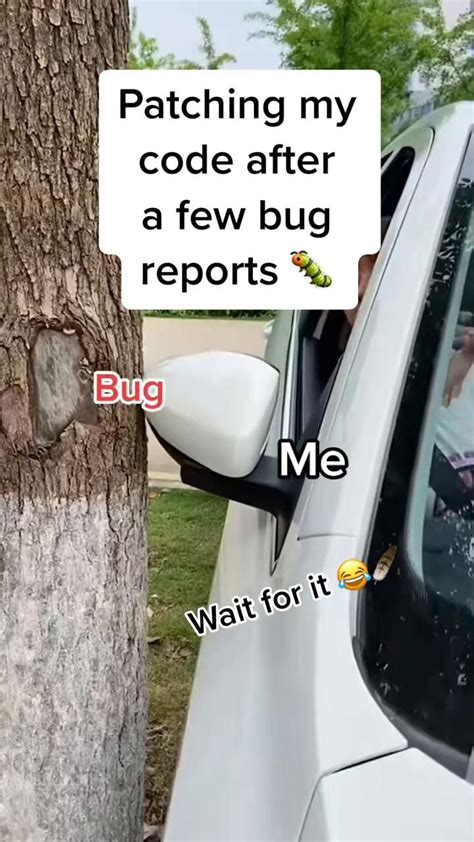 it ll be fine…🐛🪲🐜 memes funny programming codingmemes learn2code coding bug report memes
