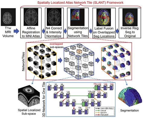 Slant 27 An Example Of Ensemble Networks The Whole Brain Is Split Download Scientific Diagram