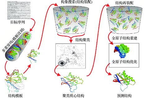Flowchart Of I Tasser Method For Protein Structure Prediction Download Scientific Diagram