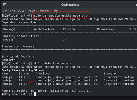 Best Way To Install Nodejs And Npm On Rocky Linux 8 Or Almalinux