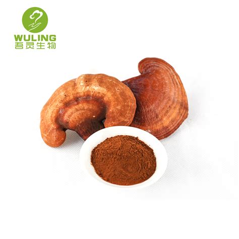 30 Beta Glucan Reishi Ganoderma Lucidum Lingzhi Mushroom Extract