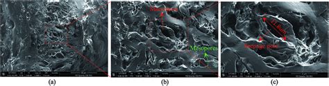 Pore Structure Of Coal Samples Download Scientific Diagram