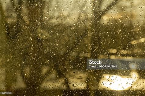 가을날 비와 진눈깨비가 흩날리는 창문을 통해 도시의 전망 감정에 대한 스톡 사진 및 기타 이미지 감정 걱정하는 고독 개념