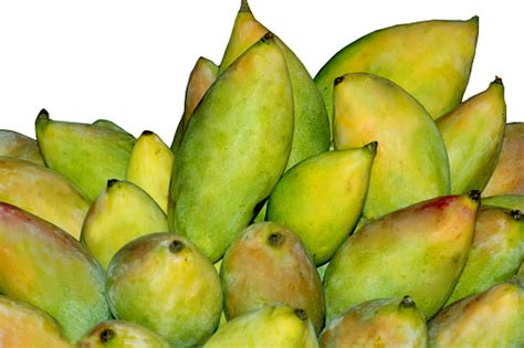 흰색 배경에서 하는 고립 된 망고 잘 익은 맛 있는 노란과 녹색 망고는 시장에 닫습니다 건강한 생활방식에 대한 스톡 사진 및 기타 이미지 건강한 생활방식 건강한 식생활