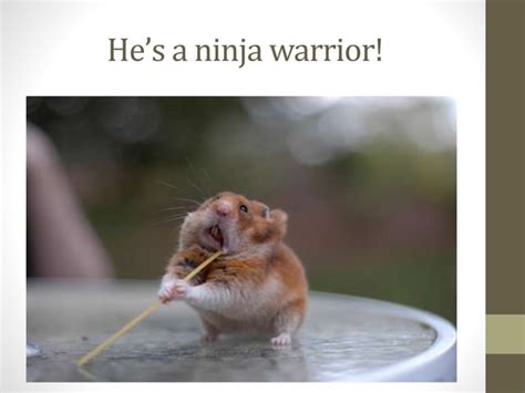 Honesty Values Assembly Pptx Honesty Values Assembly Pptx