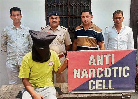 80 Nabbed In Ndps Cases Over 4 Months In Kurukshetra The Tribune