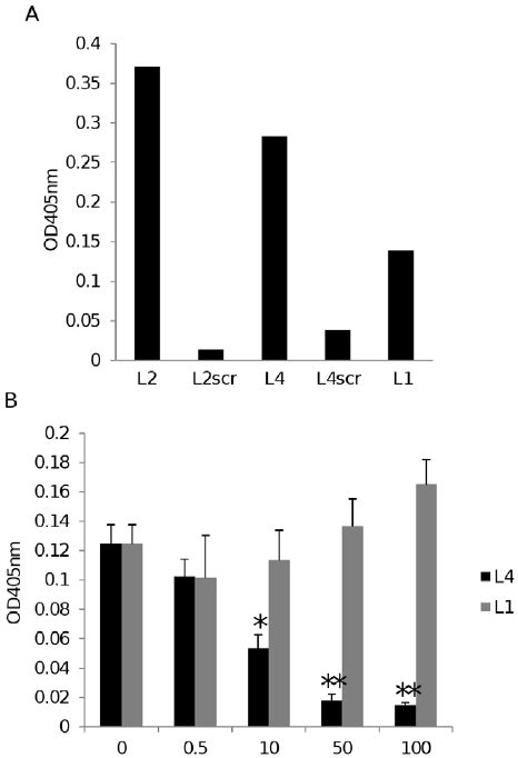 PorA Loop And OmpP Loop Peptides Bind LamR A Binding Of LamR To Download Scientific