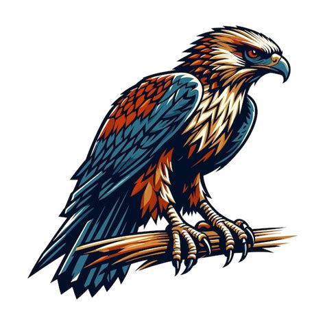Premium Vector Wild Animal Bird Of Prey Raptor Bird Vector Design